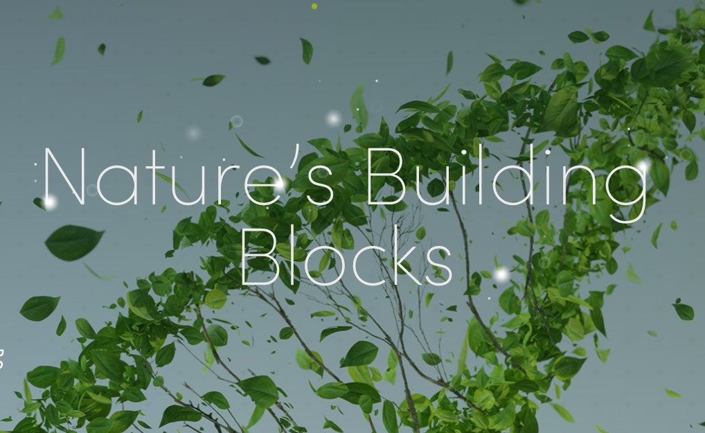 Press Release – Natures Building Blocks - PolyNovo