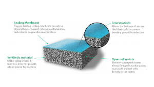 Top 7 Benefits of NovoSorb® BTM