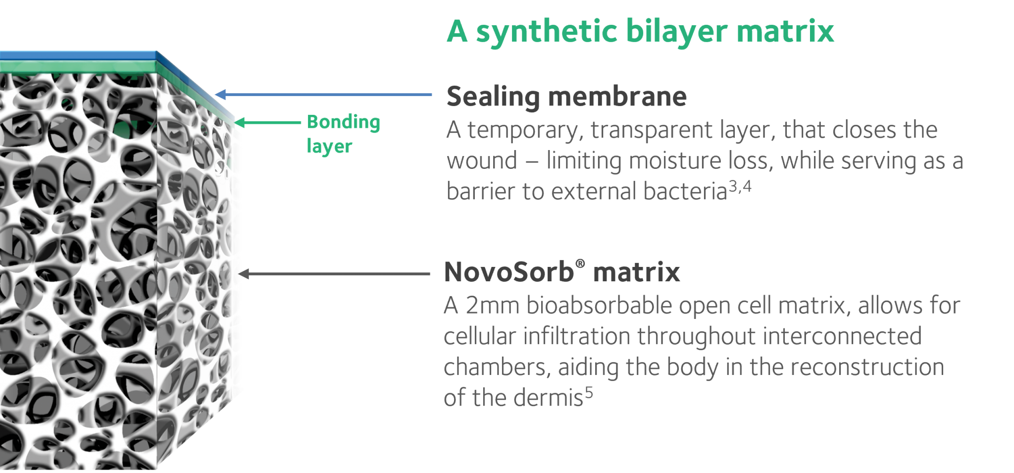 NovoSorb® BTM for Repair of Pediatric Soft Tissue Deficits