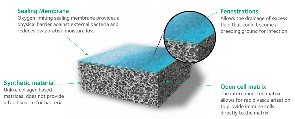 NovoSorb® BTM for Repair of Pediatric Soft Tissue Deficits