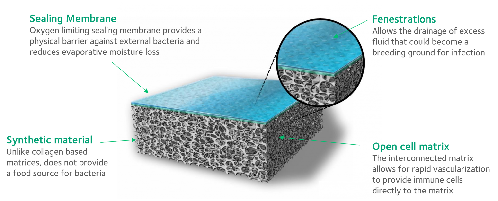 NovoSorb® BTM for Repair of Pediatric Soft Tissue Deficits